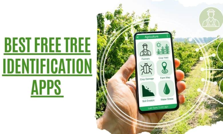 Best Free Plant Identifier App iOS Android Paktales